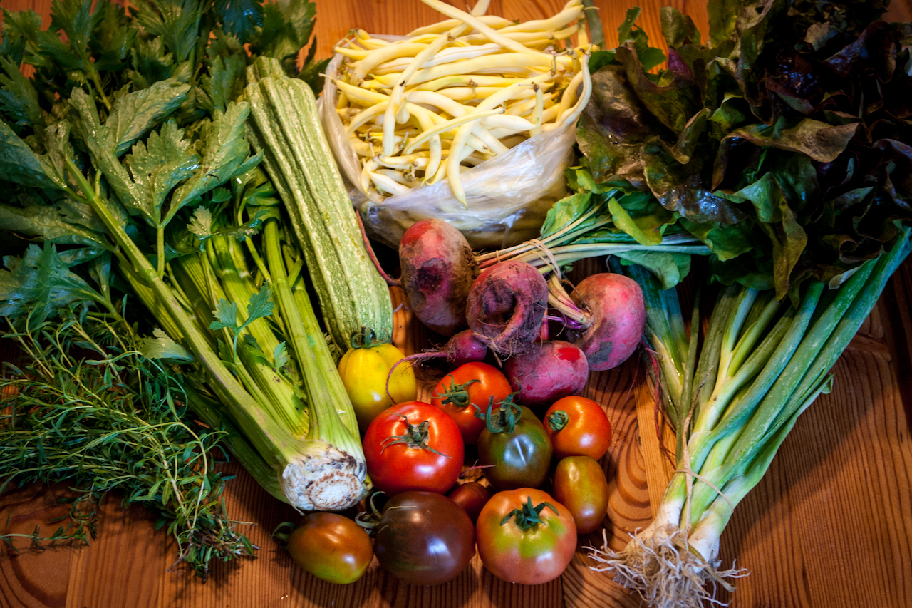 Biogemüse aus der Stadt? Ja, klar! - ecozueri.ch